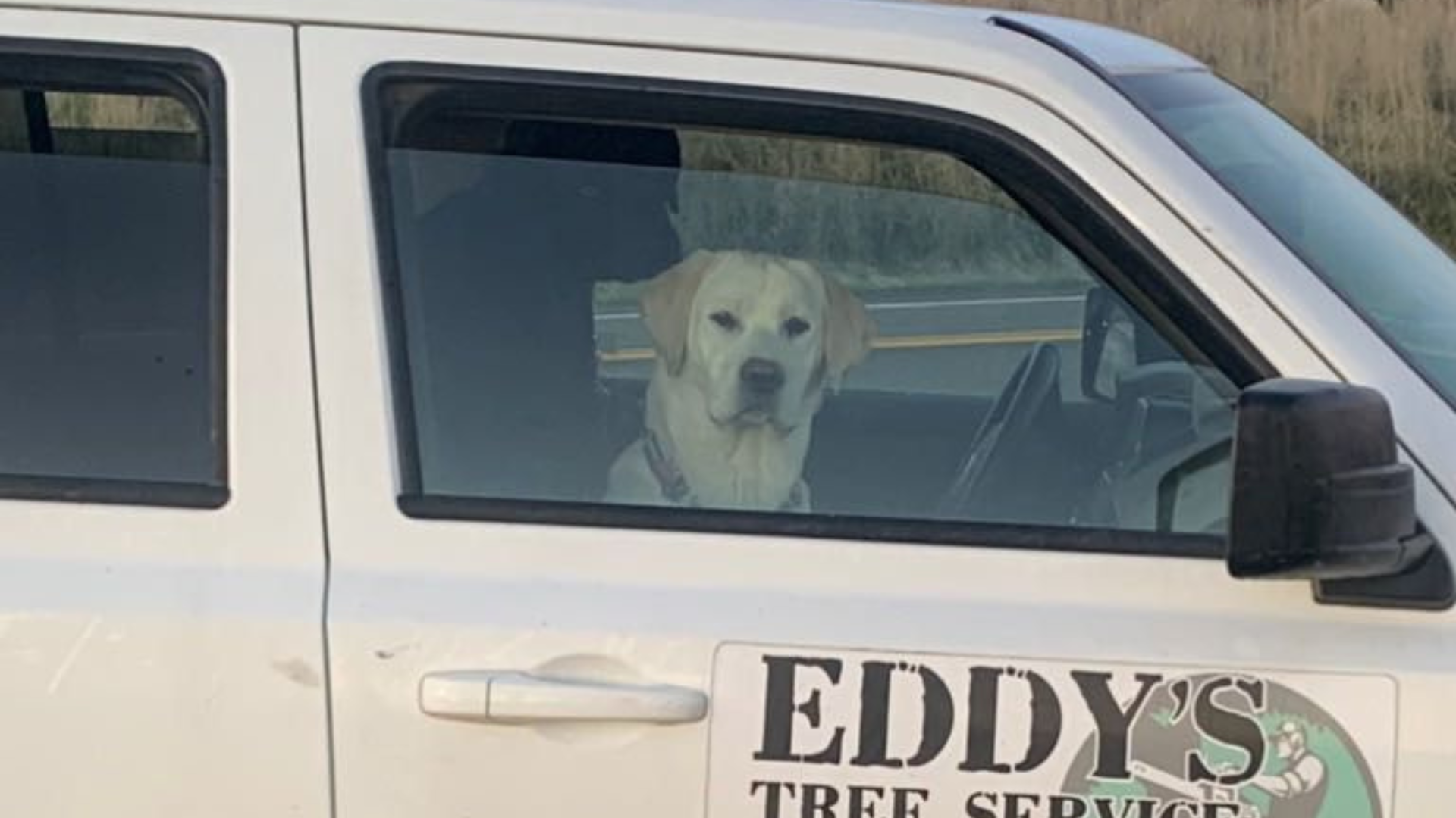 Eddy's Tree Service - Quality Tree Care In Redding, CA